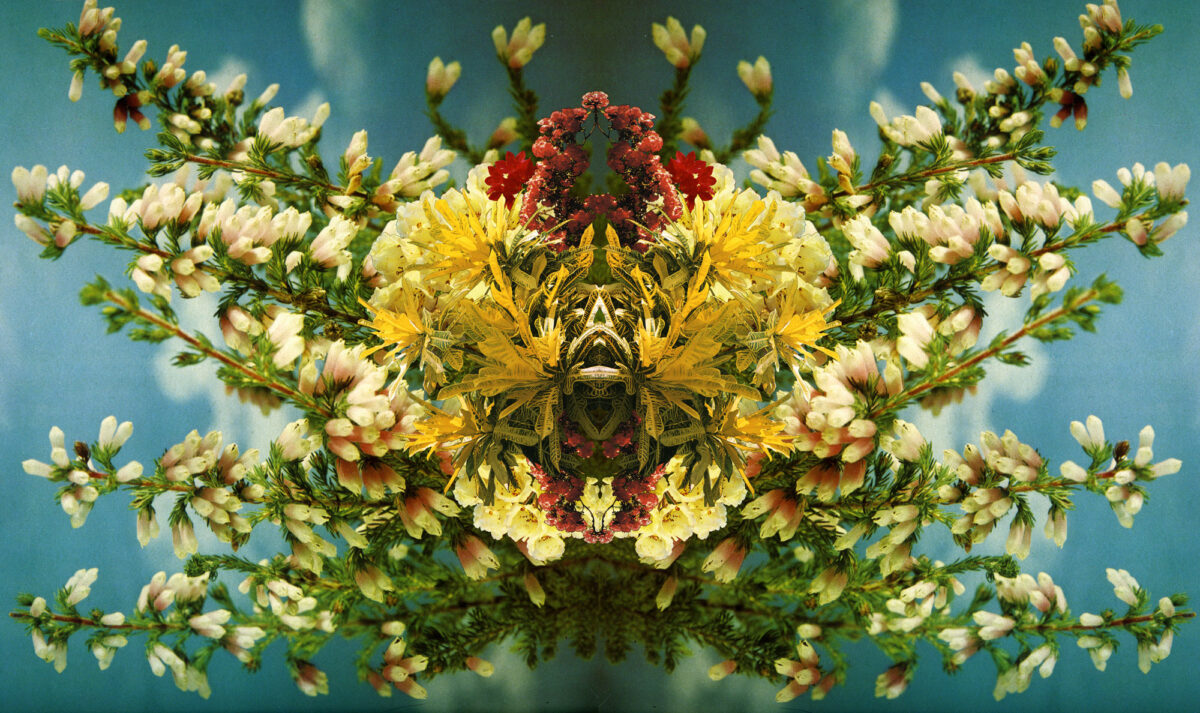 Laura Kay Keeling :Smokestack